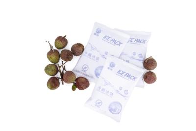 Cina Big Ice Pack Gel Reusable Cooler Pack Per Bottiglia Orso Vino Raffreddamento Sacchetto da pranzo in vendita