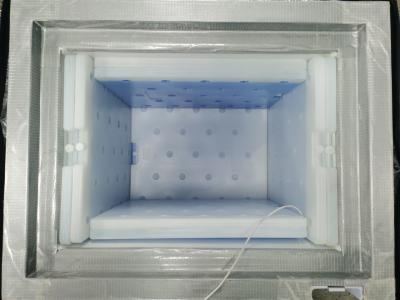 中国 環境に優しい冷たいランチボックス 血液ワクチン 貯蔵 輸送 販売のため