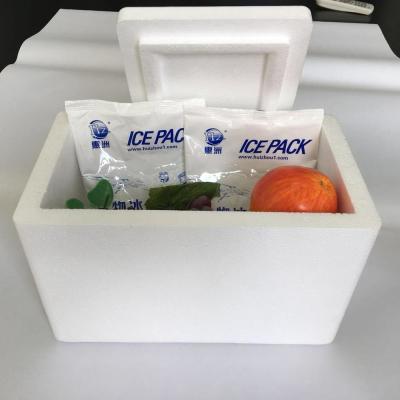 China Envases de cadena de frío Biodegradable Envases de hielo Bolsa de gel Envases de hielo para refrigeradores aislados Envases de congelación en venta