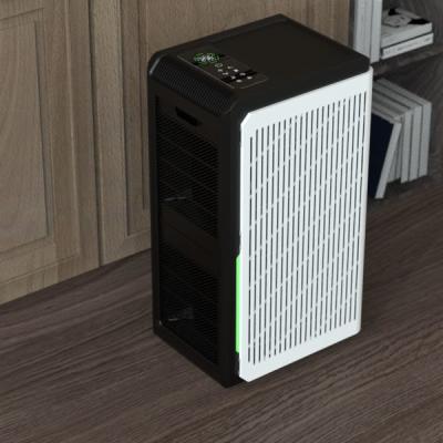 Cina Combinazione di purificatore d'aria e umidificatore con vero filtro Hepa per ambienti di grandi dimensioni per la muffa in vendita