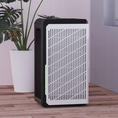Cina Combinazione di purificatore d'aria e umidificatore con vero filtro Hepa per ambienti di grandi dimensioni per la muffa in vendita