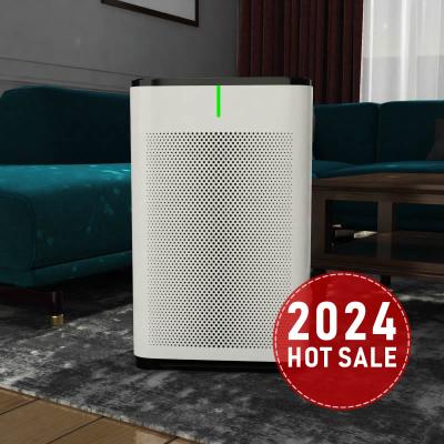 China Effortlessly Remove Hair And Odors Pet Air Purifier Hepa Filter WiFi Remote Te koop