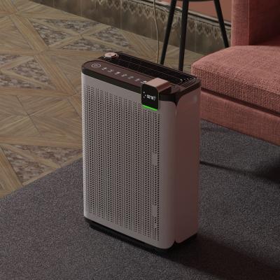 Cina Piccolo filtro Hepa per animali domestici con ossigeno attivo Purificatore d'aria Controllo WIFI per animali domestici in vendita