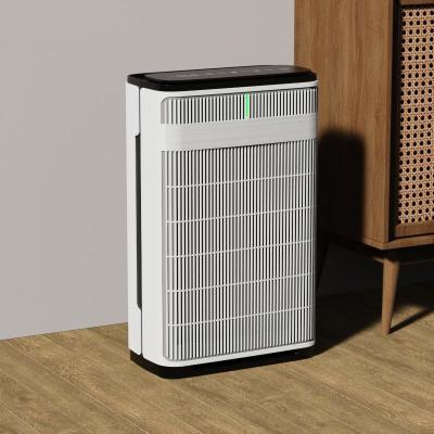 Cina 2024 Nuova collezione Hepa Filter Smart WIFI Purificatore d'aria per animali domestici Famiglia di animali domestici in vendita