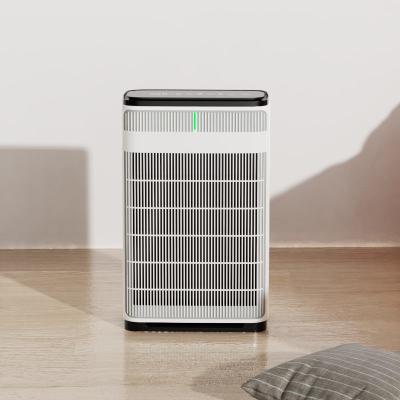 Cina 2024 Nuova collezione Hepa Filter Smart WIFI Purificatore d'aria per animali domestici Famiglia di animali domestici in vendita
