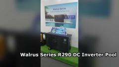 Walrus Series R290 DC Inverter Pool Heat Pump