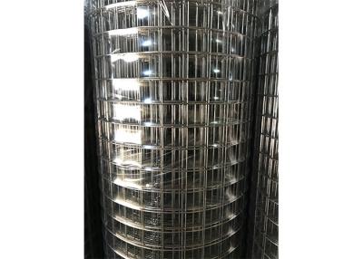 China Stainless Steel Welded Wire Mesh/  Stainless Steel Welded Mesh/Ss Welded Wire Mesh for sale
