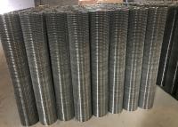 China Welded Wire Mesh,Galvanized Welded Wire Mesh for sale