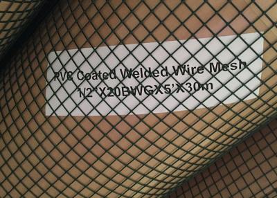 China PVC Coated Welded Wire Mesh/Welded Wire Mesh/Green Welded Mesh for sale