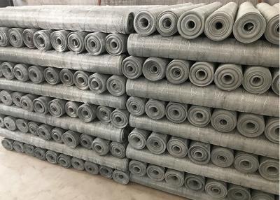 China Galvanized Iron Wire Mesh/Galvanized  Square Wire Mesh/8x8Mesh Wire Mesh for sale
