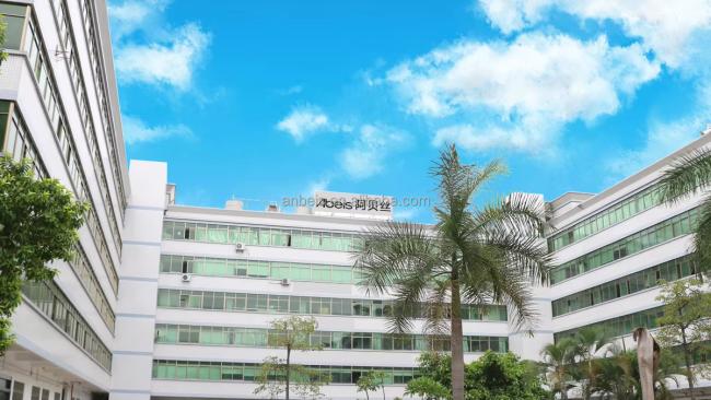 Abeis company profile