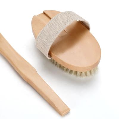 Cina OEM Distaccabile Long Handle Body Scrub Brush Trattamento della cellulite della pelle secca in vendita