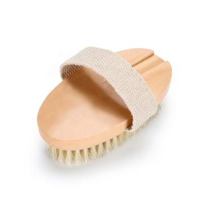 Cina OEM Distaccabile Long Handle Body Scrub Brush Trattamento della cellulite della pelle secca in vendita
