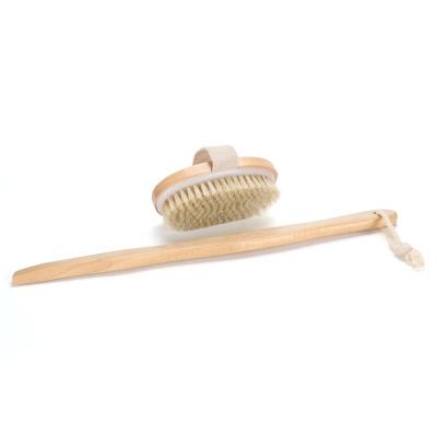 Cina OEM Distaccabile Long Handle Body Scrub Brush Trattamento della cellulite della pelle secca in vendita