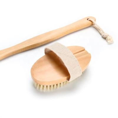 Cina OEM Distaccabile Long Handle Body Scrub Brush Trattamento della cellulite della pelle secca in vendita