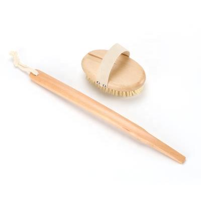 Cina Vegan Sisal Body Dry Brush Staccabile Natural Beechwood Long Handle in vendita