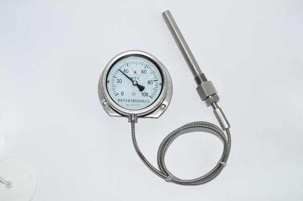 Quality Pressure Type Anti Vibration Thermometer for sale