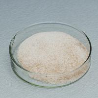 Quality Hydrolysis To Remove Bitterness Flavourzyme Enzyme Used For Food Processing for sale