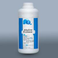 Quality 2.4L Protease Enzyme In Food Industry Providing Enzyme Preparation Sample for sale