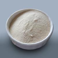 Quality Papaya Papain Enzyme 300USP-6000USP Papaya Extract Protease Powder for sale