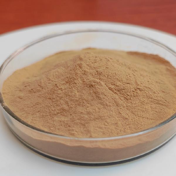 Quality Acid Protease 200000U/G Used for food fermentation leather processing protease for sale
