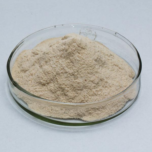Quality subtilisin enzyme 500000U/g Used for protein feed and medicine providing enzyme for sale