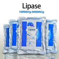 Quality 10000U/G-90000U/G Enzyme Lipase Breaks Down Lipase Powder For Cheese Making for sale