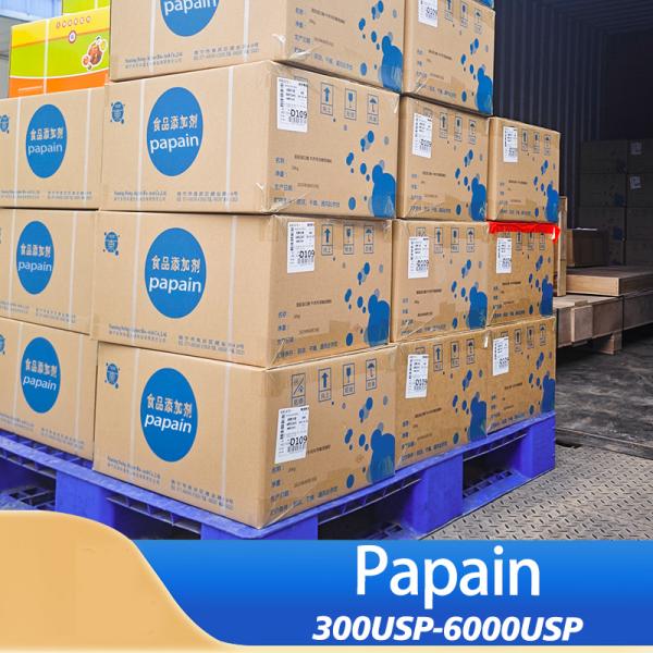 Quality 6000usp Carica Papaya Proteolytic Enzymes Enzyme Activity Can Be Customized for sale