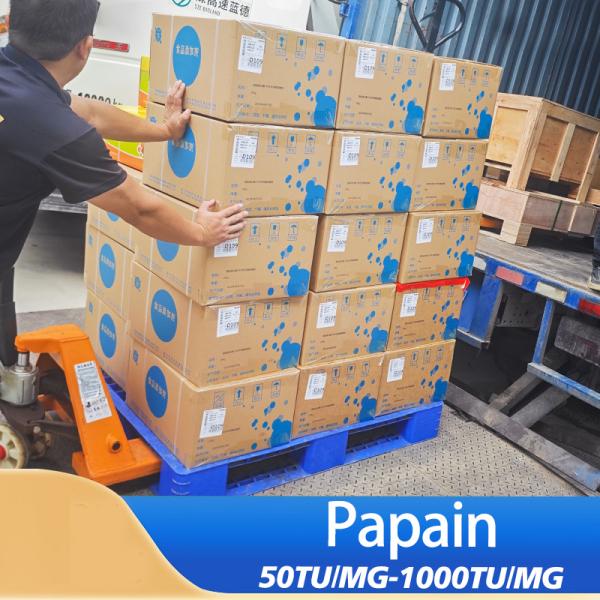 Quality Pharmaceutical Grade Papaya Contains Papain Customized Papain Food Grade for sale