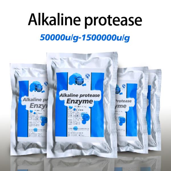 Quality Feed Grade Liquid Protease Enzyme Alkaline Protease 2.4L Customized Food Grade for sale
