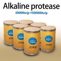 Quality Customized Bacterial Protease Enzyme Alkaline Protease 2.4L Food Grade for sale