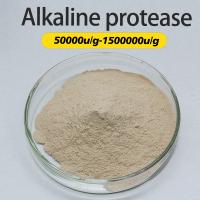 Quality 2.4L Protease Enzyme In Food Industry Providing Enzyme Preparation Sample for sale