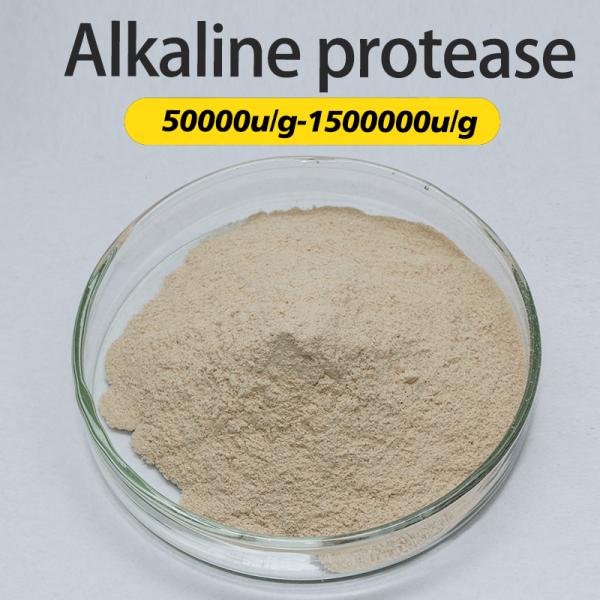 Quality 2.4L Protease Enzyme In Food Industry Providing Enzyme Preparation Sample for sale