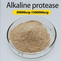 Quality Proteolytic Foods Alkaline Protease 300000u/G For Protein Feed And Medicine for sale