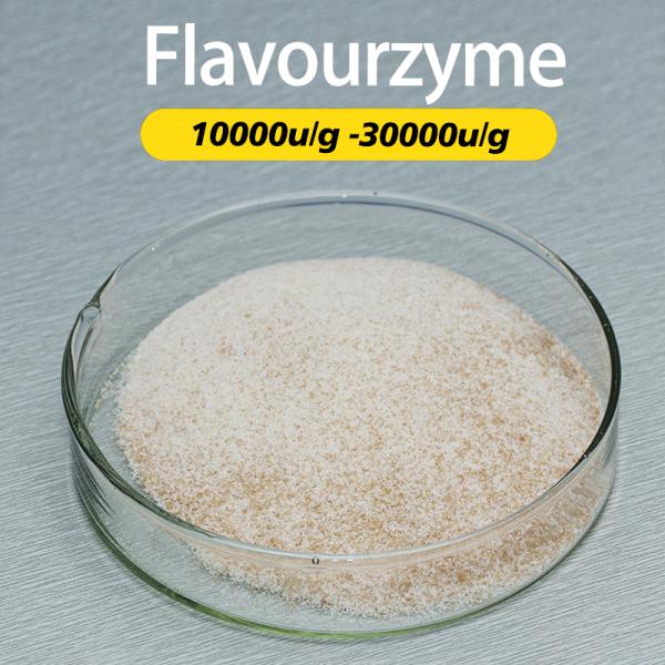 Quality Hydrolysis To Remove Bitterness Flavourzyme Enzyme Used For Food Processing for sale