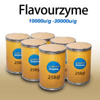 Quality Flavourzyme for sale