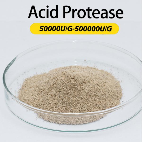 Quality 50000U/G-200000U/G Acid Protease For Food Fermentation Shortening Fermentation Cycle for sale