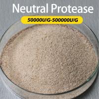 Quality Subtilisins Proteolytic Enzymes 50000U/G-500000U/G For Protein Peptide for sale