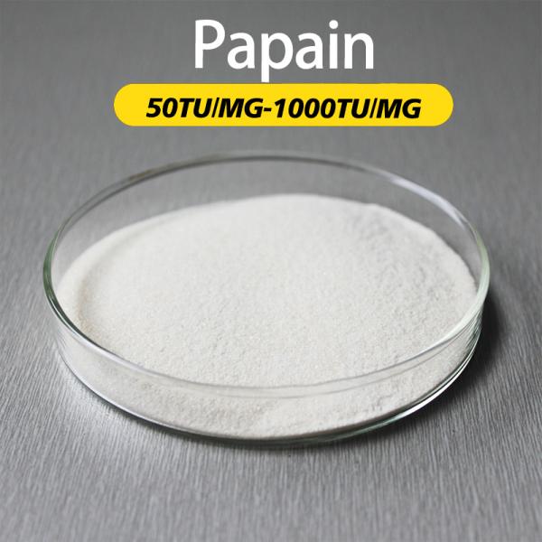 Quality 50TU/MG-1000TU/MG Papain Enzyme Powder Protease Enzyme Preparation Sample for sale