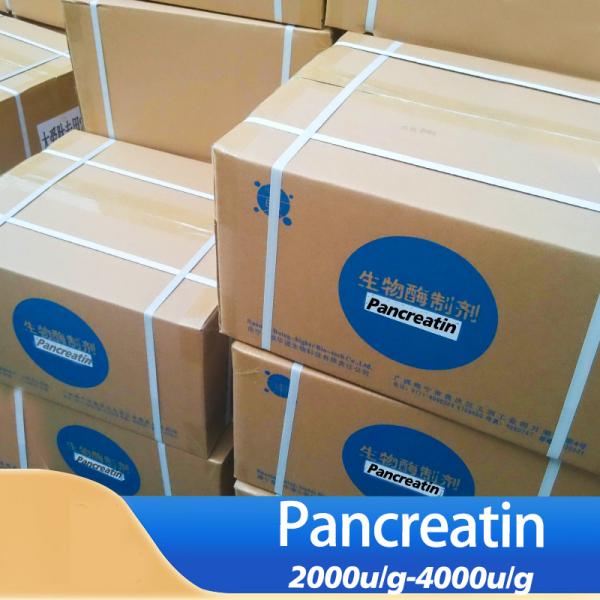 Quality Powder Like Pork Pancreas Enzymes 2000u/G-4000u/G Fully Soluble In Water for sale