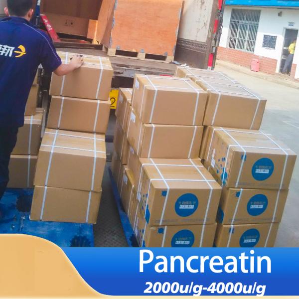 Quality Water Soluble Protease And Trypsin 2000 For Food And Feed Processing for sale
