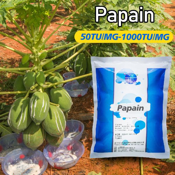 Quality White Original Papaya Enzyme Powder 50TU/MG-1000TU/MG Origin Of Papaya Cultivation for sale