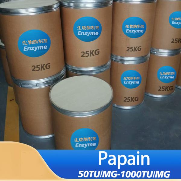 Quality Papaya Papain Enzyme 300USP-6000USP Papaya Extract Protease Powder for sale
