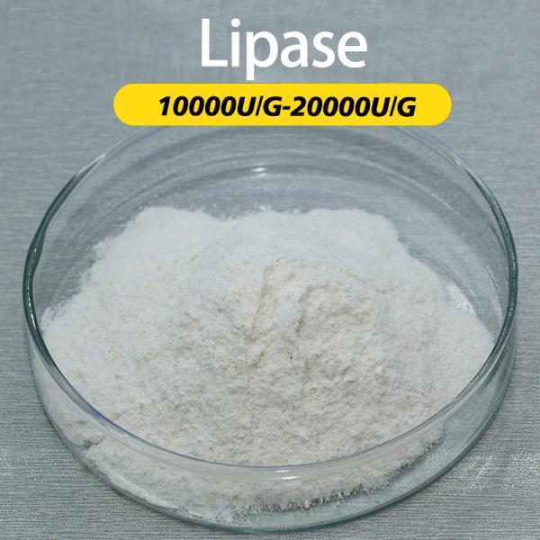 Quality Enzyme That Breaks Down Fatty Acids 20000U/G Lipase For Baking for sale