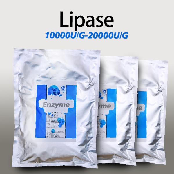 Quality Food Baking Lipase Powder Customized Lipase Enzyme Powder Soluble In Water for sale