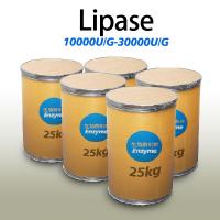 Quality White Powder Enzyme Of Fats 20000U/G Lipase Customized Enzyme Activity for sale