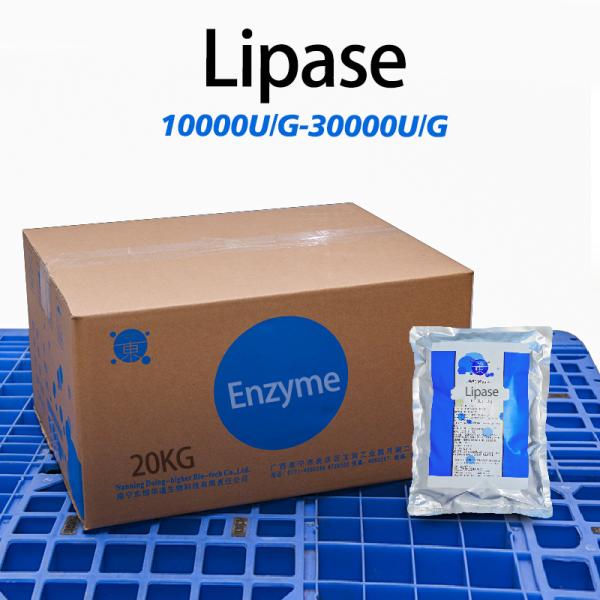Quality 20000U/G Lipase Breaks Down Fats For Food & Baking Processing for sale