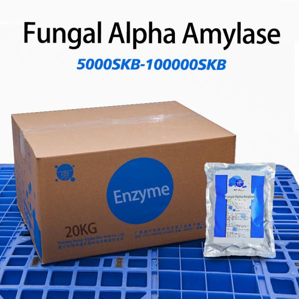 Quality 10000SKB Baking Industry Enzymes For Increasing Bread Volume Fungal Alpha Amylase for sale