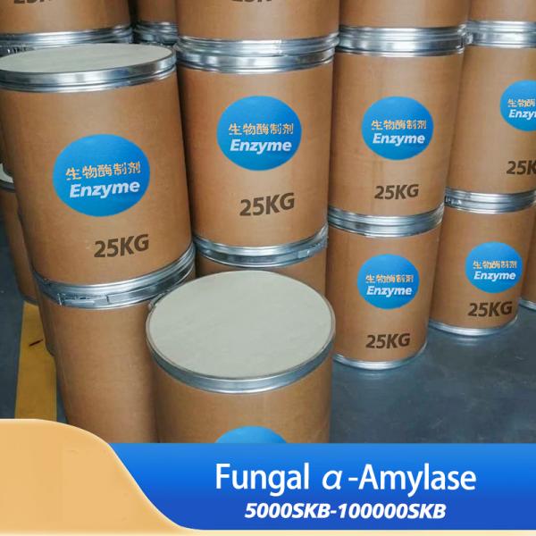 Quality Amylase For Baking 100000SKB For Baking Bread Customizing Enzyme Activity Specifications for sale