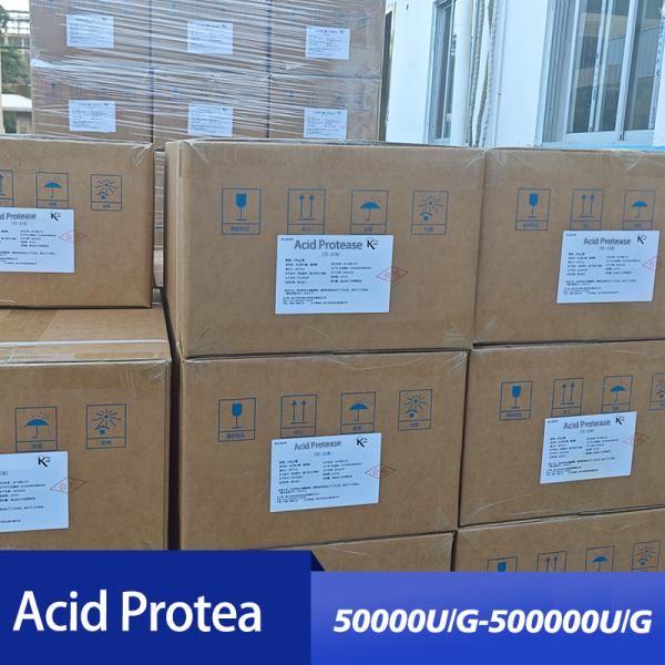 Quality Industrial acidic protease is used for leather softening and textile processing for sale